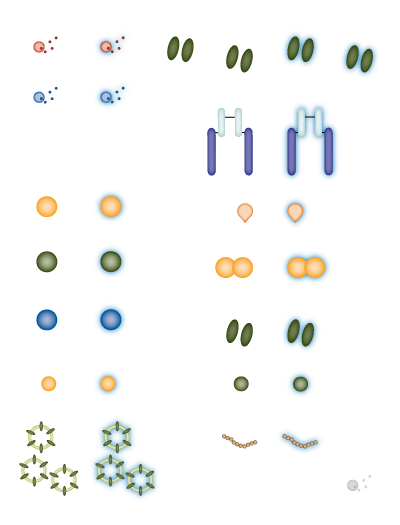 Adipocytokines & Insulin Signaling Interactive Pathway: R&D Systems