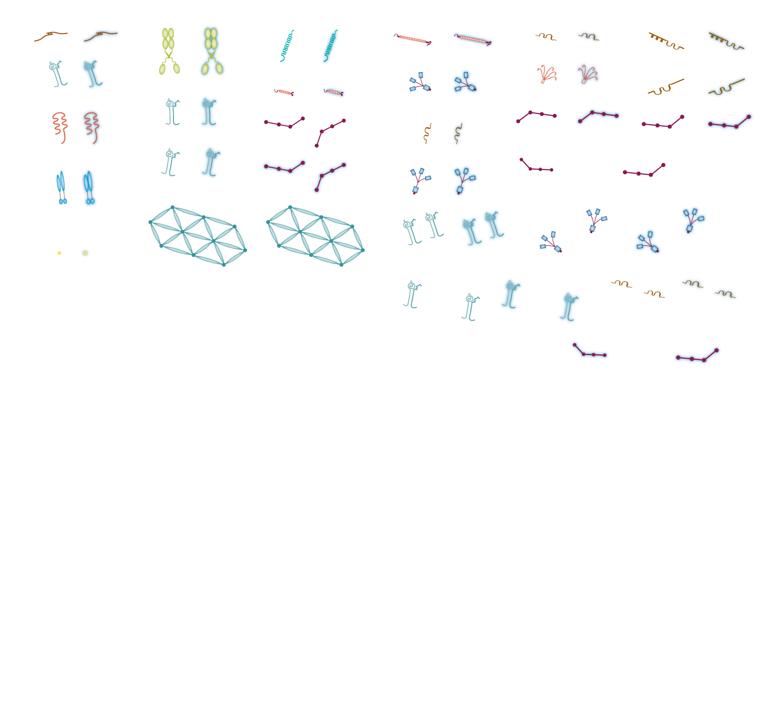 Articular Cartilage Extracellular Matrix Pathway: R&D Systems