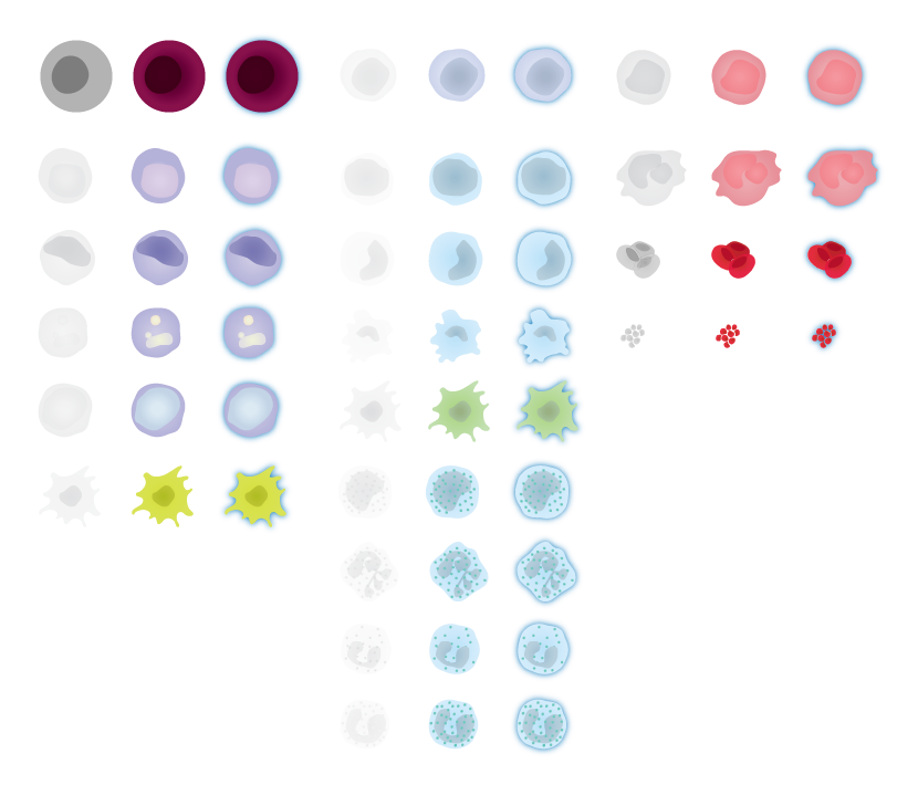 Hematopoietic Stem Cells & Lineage-specific Markers: R&D Systems