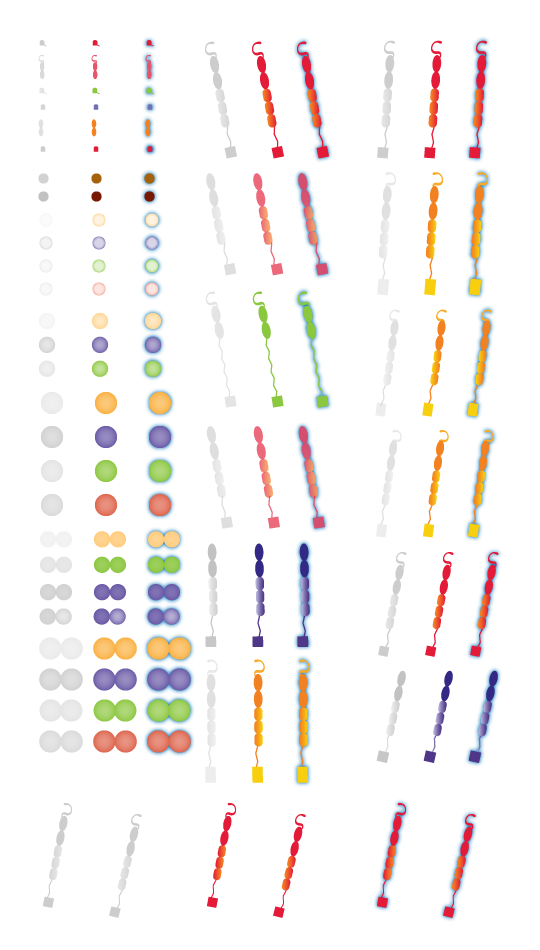 IL-12 Family Signaling Pathways: R&D Systems