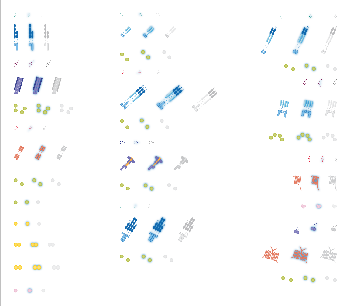 Jak/STAT Signaling Interactive Pathway: R&D Systems Jak/STAT Signaling Interactive Pathway: R&D Systems