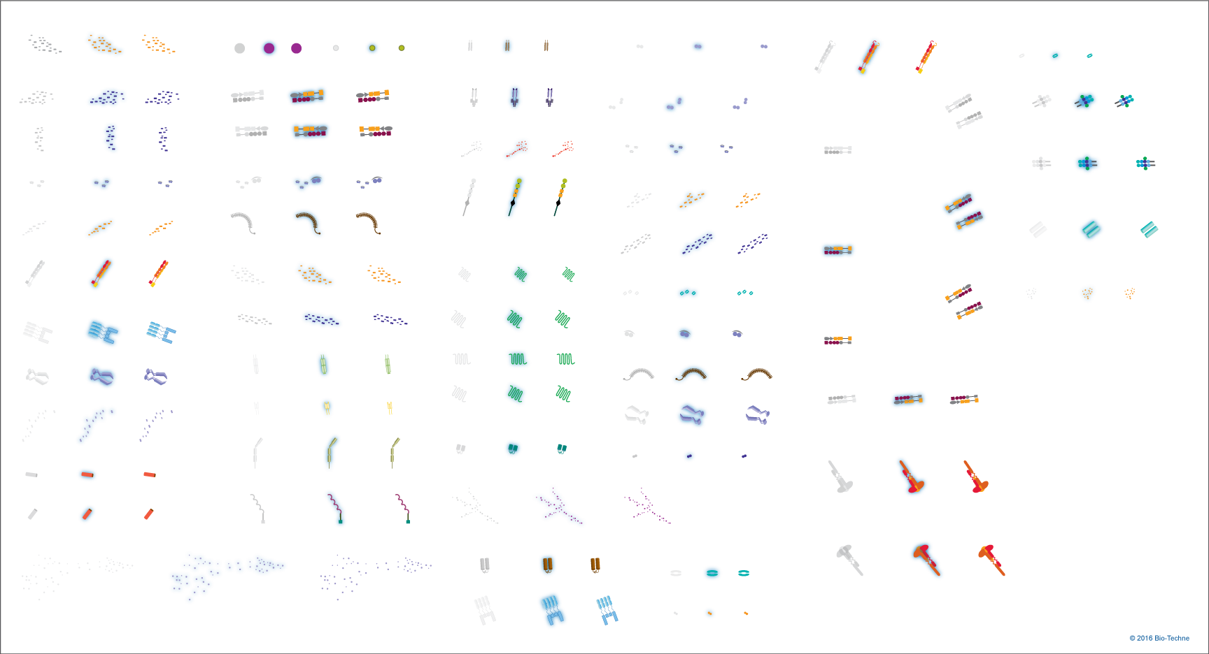 Mechanisms of Regulatory T Cell-Mediated Suppression: R&D Systems