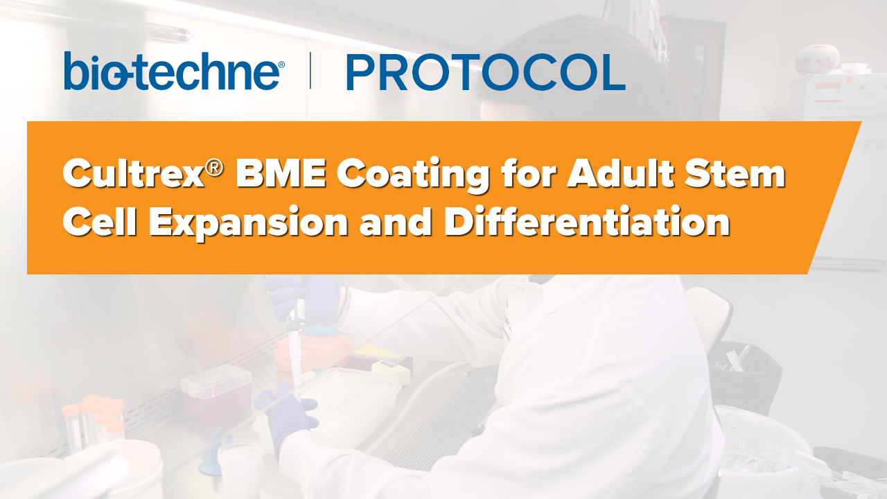 Coating Plates with Cultrex® BME