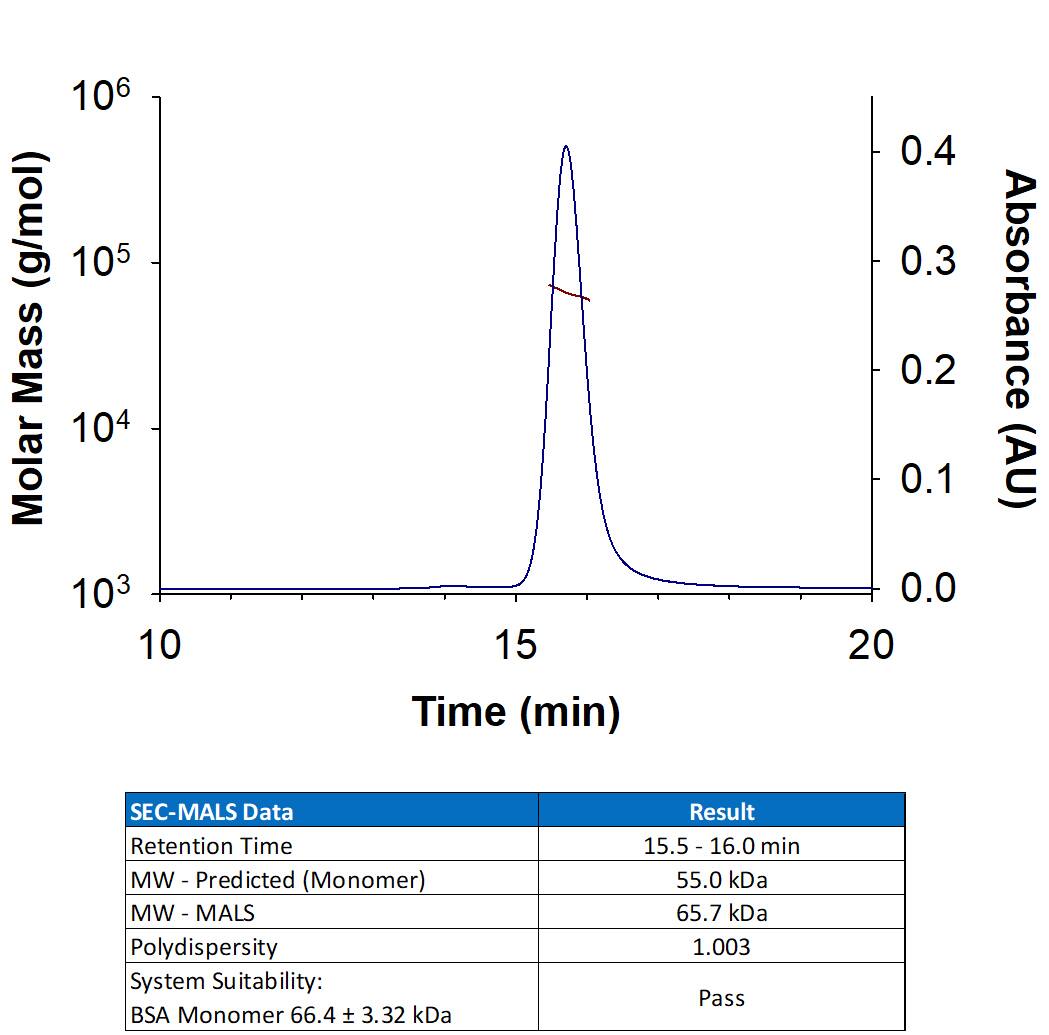Recombinant Mouse CD8 alpha/beta Heterodimer Protein, CF 11146-CD-050 ...