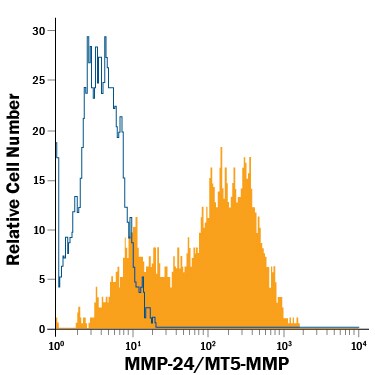 Human/Mouse MMP-24/MT5-MMP Alexa Fluor® 488-conjugated Antibody ...
