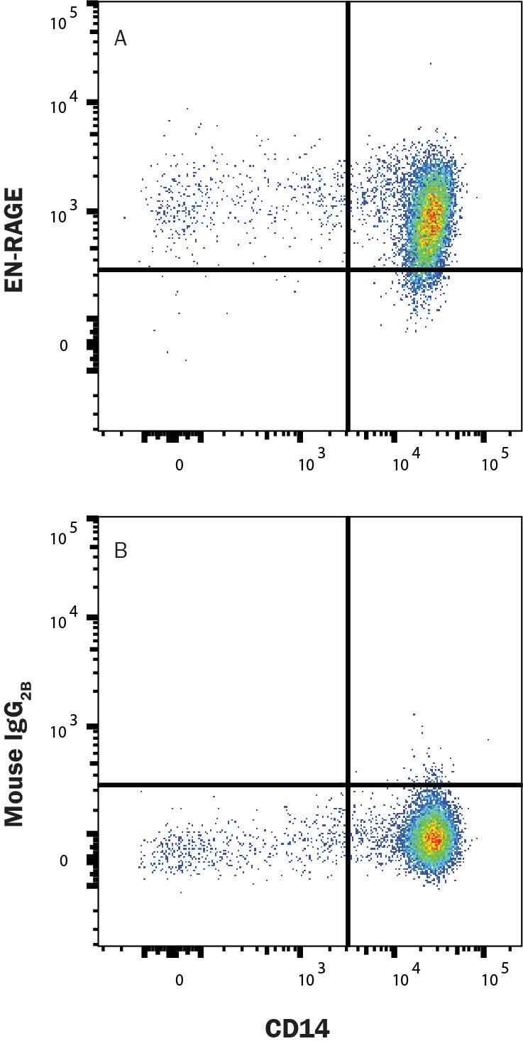 EN-RAGE/S100A12 Products: R&D Systems