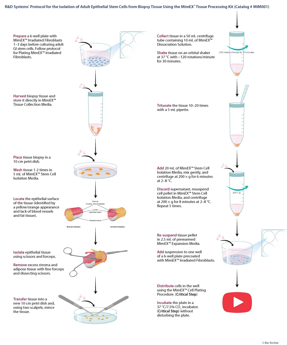 MimEX Tissue Processing Kit MIM001: R&D Systems