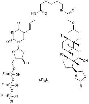 Digoxigenin-11-dUTP: R&D Systems