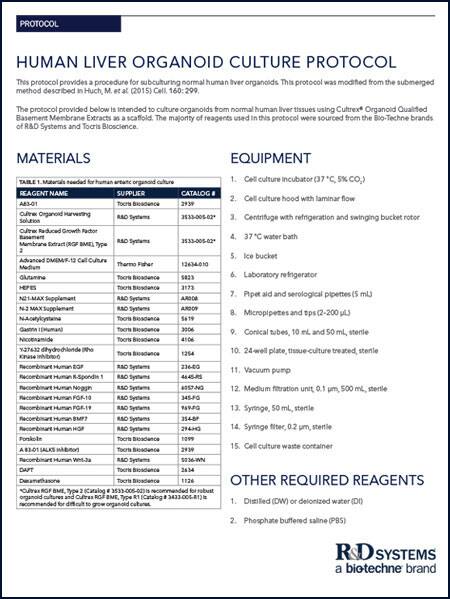 Human Liver Organoid Culture Protocol