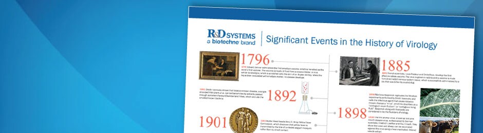R&D Systems: Products & Services for Cell Biology Research