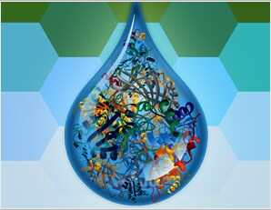 R&D Systems: Products & Services for Cell Biology Research: R&D Systems