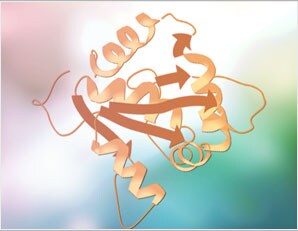 R&D Systems: Products & Services for Cell Biology Research