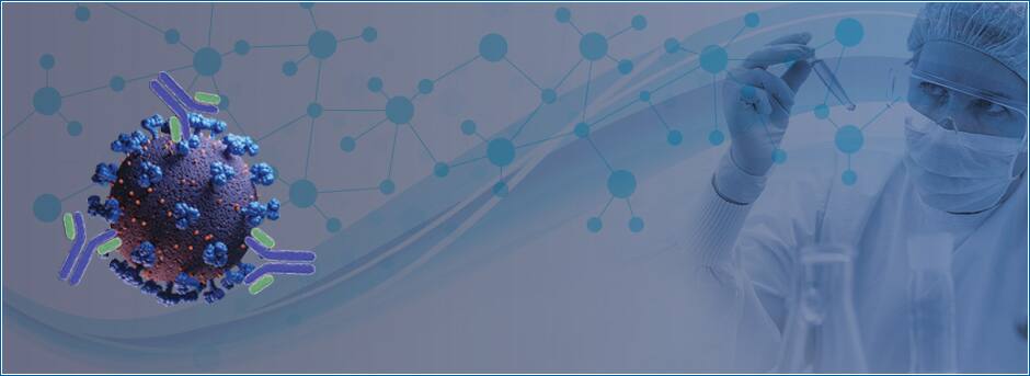 Antibodies, Kits, Proteins and Research Reagents: Novus Biologicals