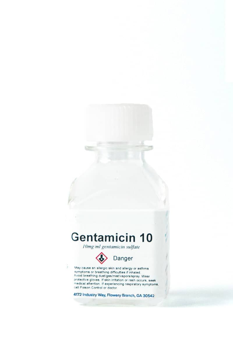 Gentamicin 10 mg/mL B20192: R&D Systems