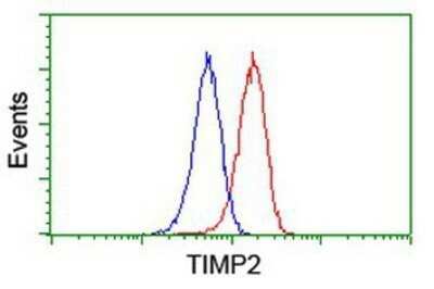 TIMP-2 Antibody (OTI1A6) - Azide and BSA Free NBP2-74521: Novus Biologicals