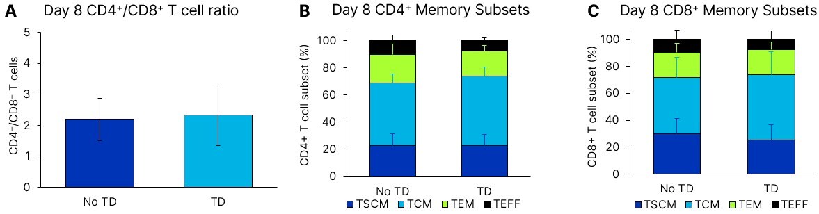 GMP Human T Cell Media CCM038-GMP-1L: R&D Systems