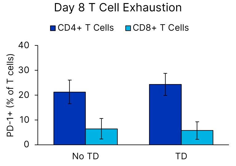 GMP Human T Cell Media CCM038-GMP-1L: R&D Systems