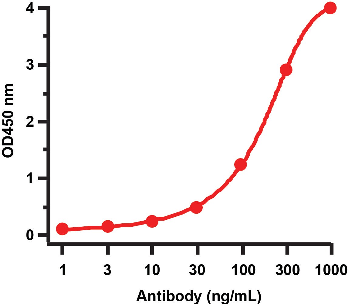 Avian Influenza A H5N1 Neuraminidase Antibody - BSA Free NBP2-41049 ...
