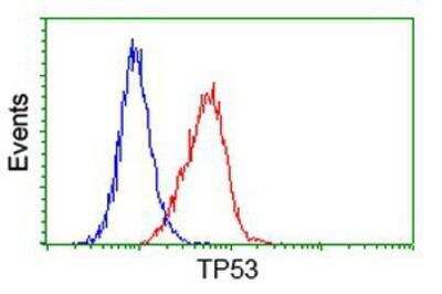 p53 Antibody (OTI5E2) NBP2-00723: Novus Biologicals