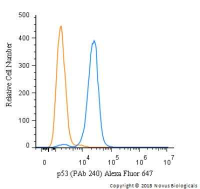 p53 Antibody (PAb 240) - BSA Free NB200-103: Novus Biologicals