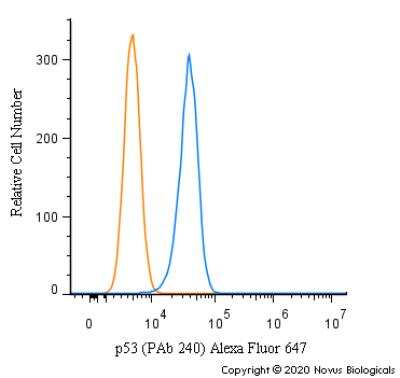 p53 Antibody (PAb 240) - BSA Free NB200-103: Novus Biologicals