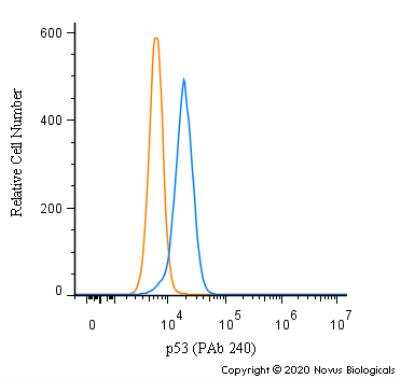 p53 Antibody (PAb 240) - BSA Free NB200-103: Novus Biologicals