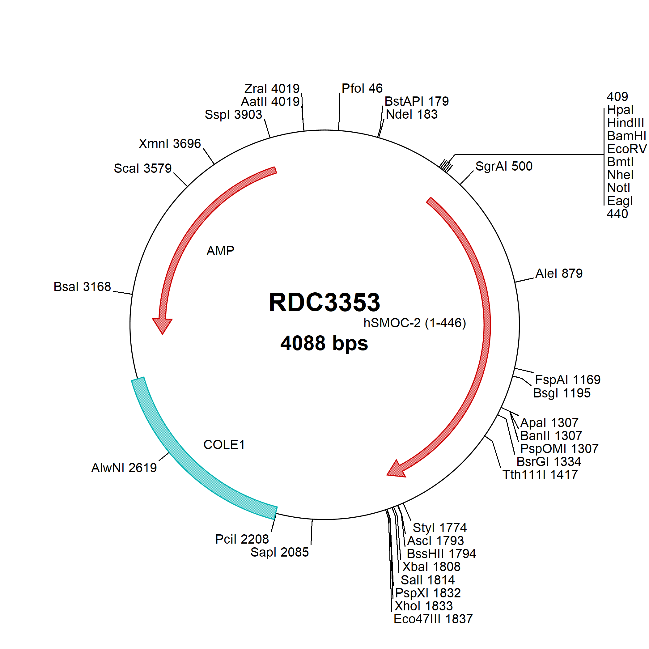SMOC-2 cDNA Clones
