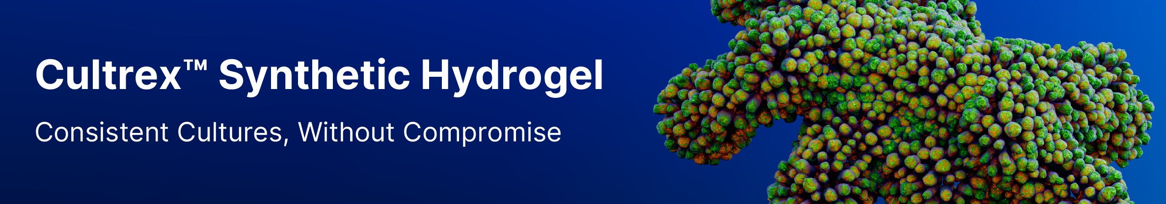 Cultrex™ Synthetic Hydrogel | R&D Systems