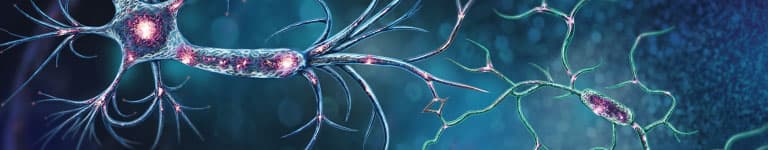 Interactive Pathways & Processes: R&D Systems