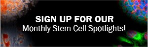 Stem Cell Products: R&D Systems