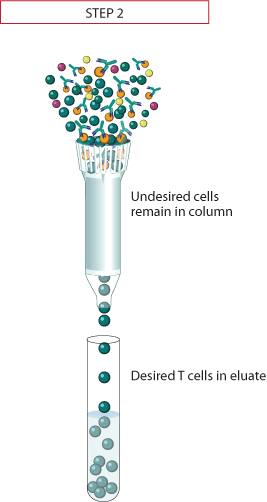 Subtype Specific T Cell Enrichment Columns Assay Principle: R&D Systems Subtype Specific T Cell Enrichment Columns Assay Principle: R&D Systems