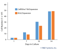 CellXVivo Human NK Cell Expansion Kit CDK015: R&D Systems