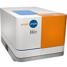 Immunoassay Workflow Solutions: R&D Systems