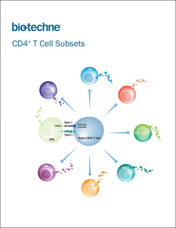 CD4+ T Cell Brochure: R&D Systems