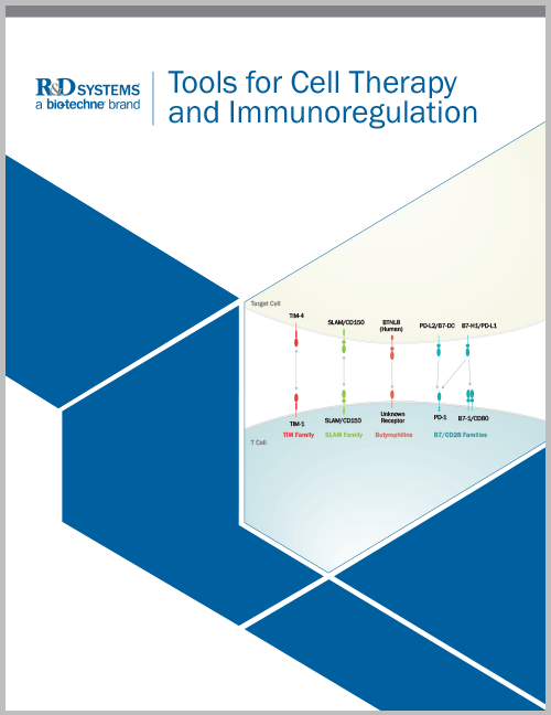 R&D Systems Cell Therapy and Immunoregulation brochure: R&D Systems