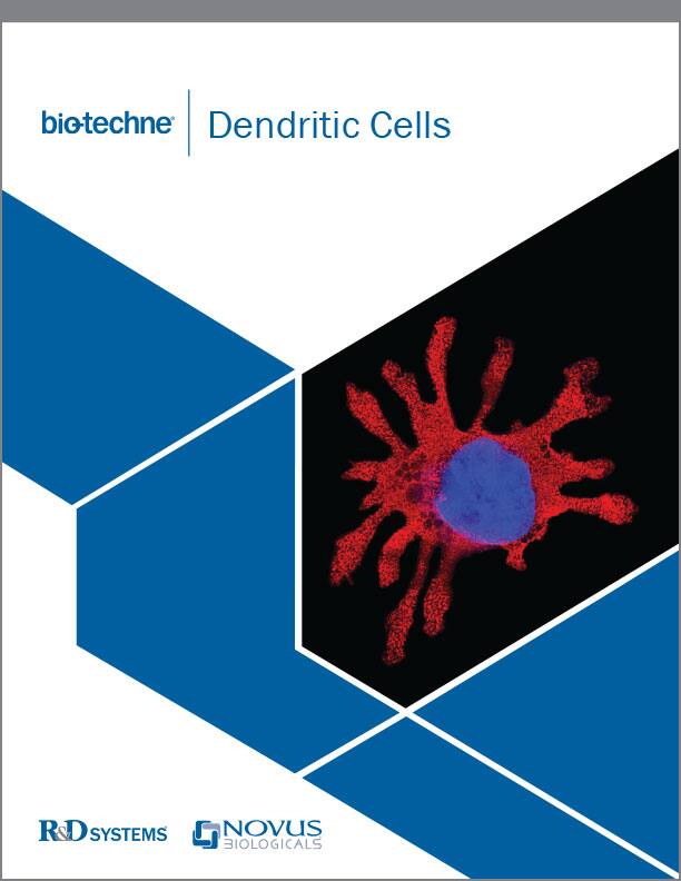Dendritic Cell Development and Subset Identification