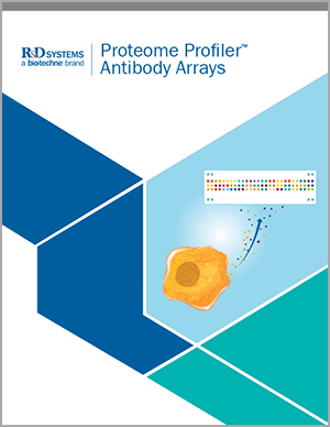 Proteome Profiler Antibody Arrays: R&D Systems
