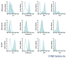 Mouse Mesenchymal Marker Antibody Panel (SC018): R&D Systems
