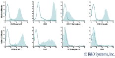 Mouse Mesenchymal Marker Antibody Panel (SC018): R&D Systems